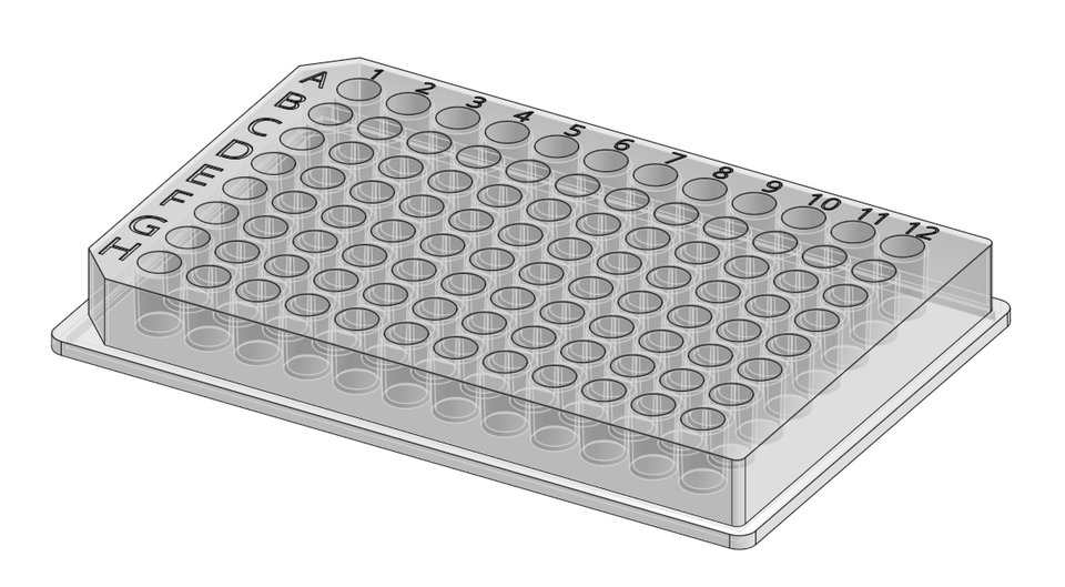 96 Well Plate